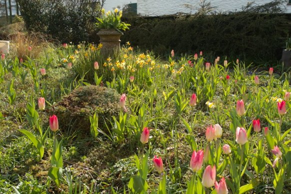 Historic Choices, Succession, and Digging up Gold | thegardenimpressionists