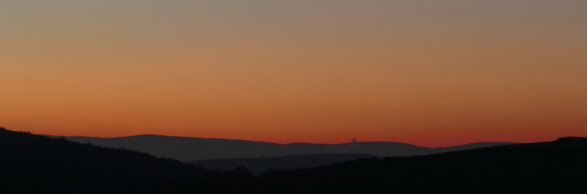 Dream Leaper | thegardenimpressionists